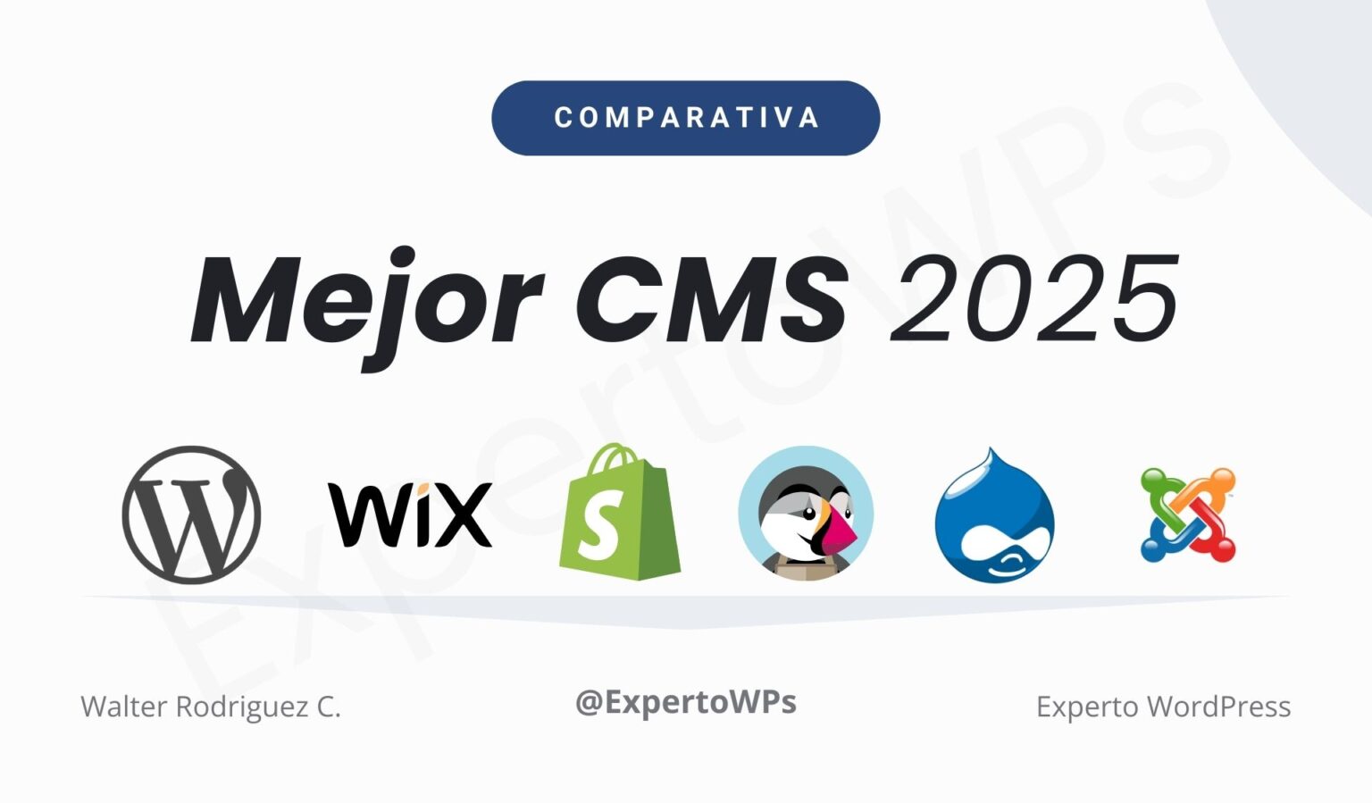 ¿Cuál es el mejor CMS en 2025? WordPress vs Wix, Shopify + | ExpertoWPs